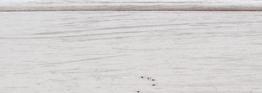 Paint Colors, Stains, & Distressing | Schuler Kitchen Cabinetry at Lowe's